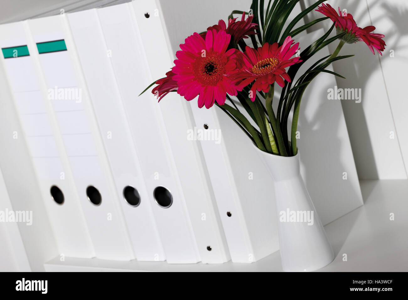 White office shelf, files and small flower bouquet Stock Photo - Alamy
