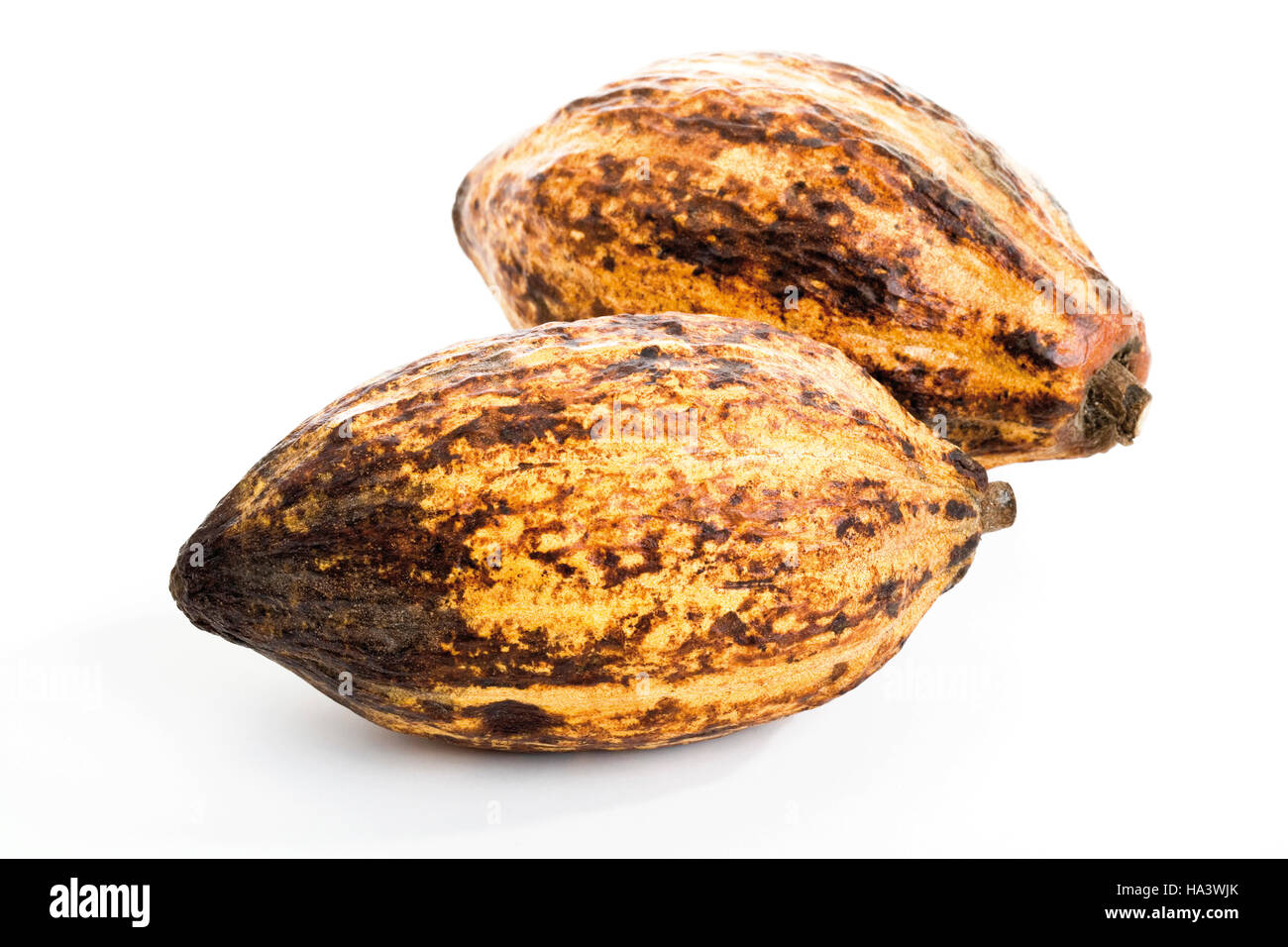 Cocoa pod cut out hi-res stock photography and images - Alamy