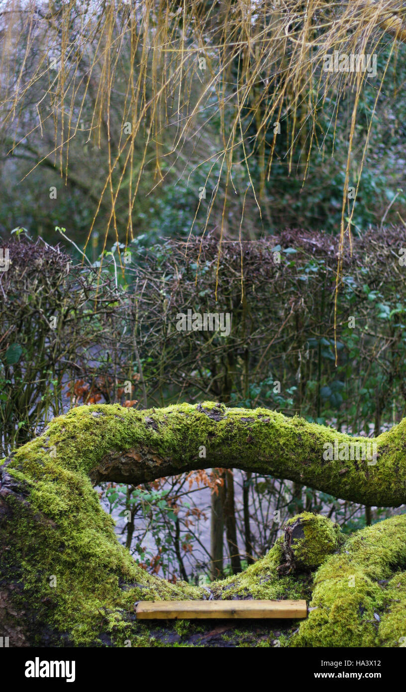 Bridge Moss High Resolution Stock Photography and Images - Alamy