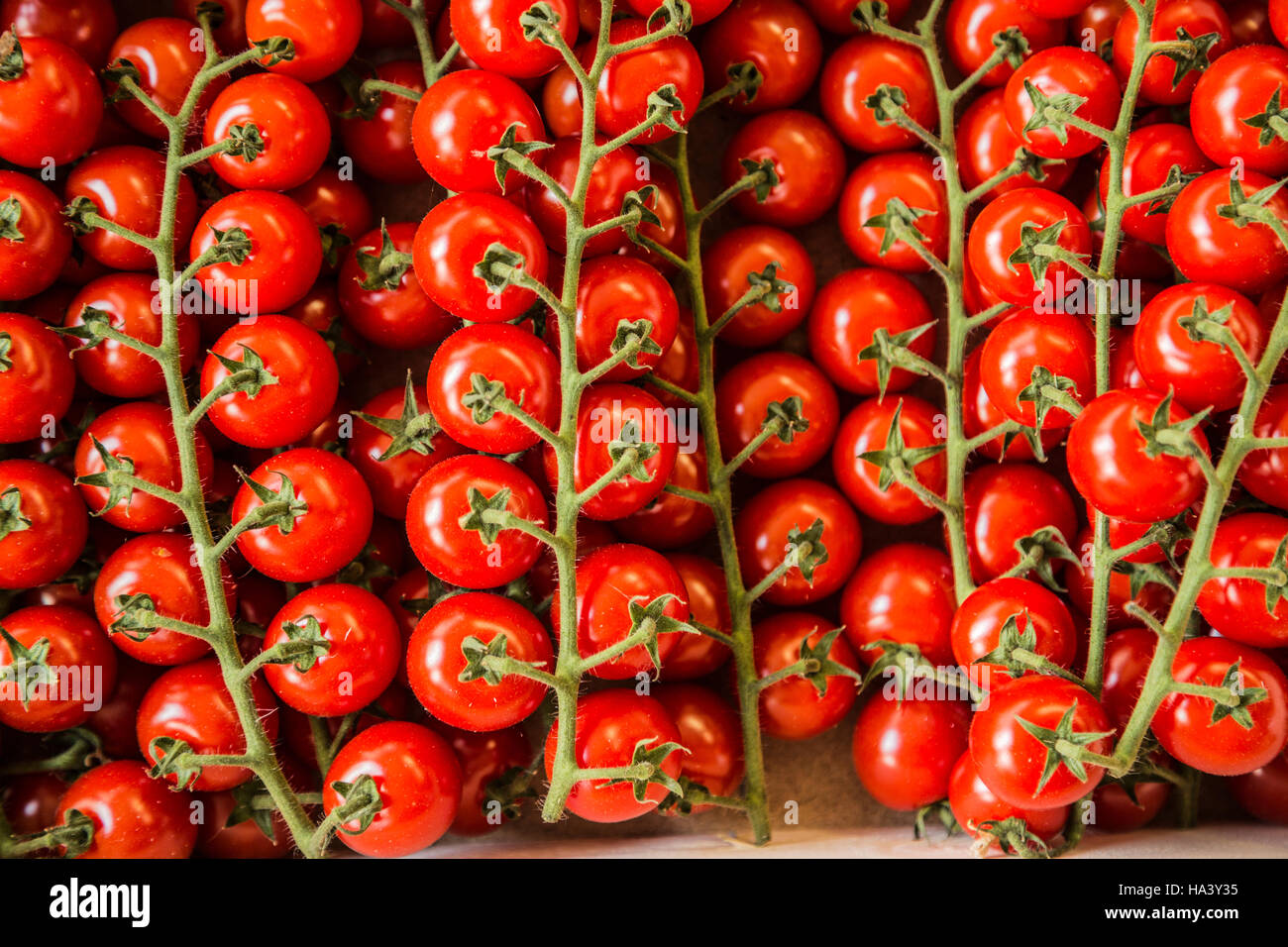 cherrry tomato boxed and on stems in open-air market in town of Limoges ...