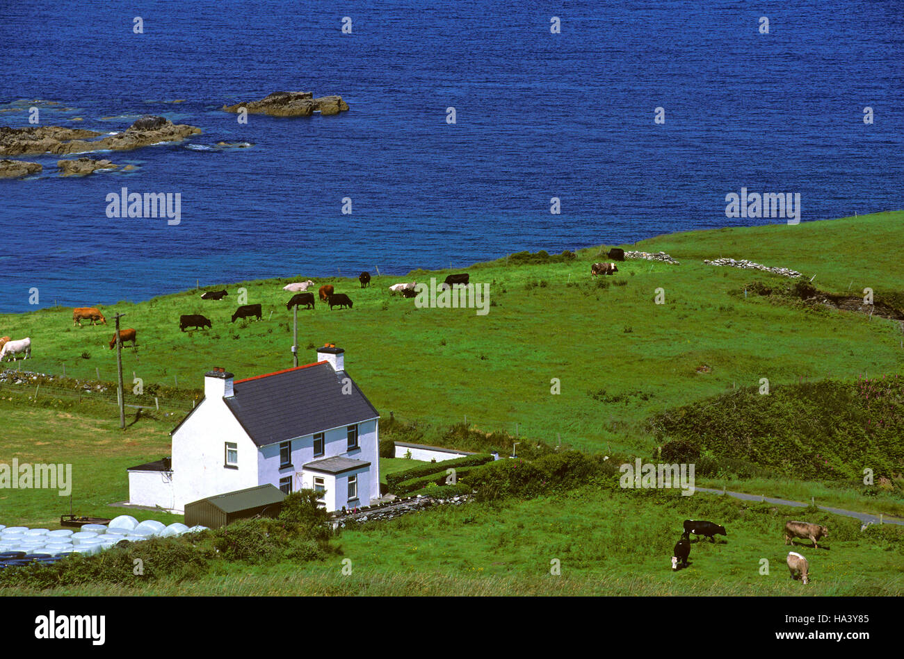 Farmhouse in the Beara Peninsula, County Cork, Ireland, Europe Stock ...
