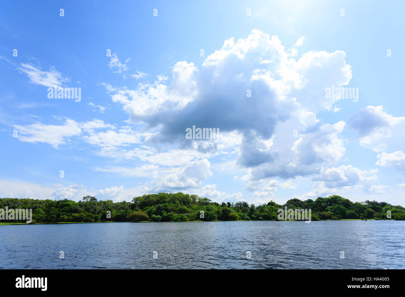 Panorama from Amazon rainforest, Brazilian wetland region. Navigable ...