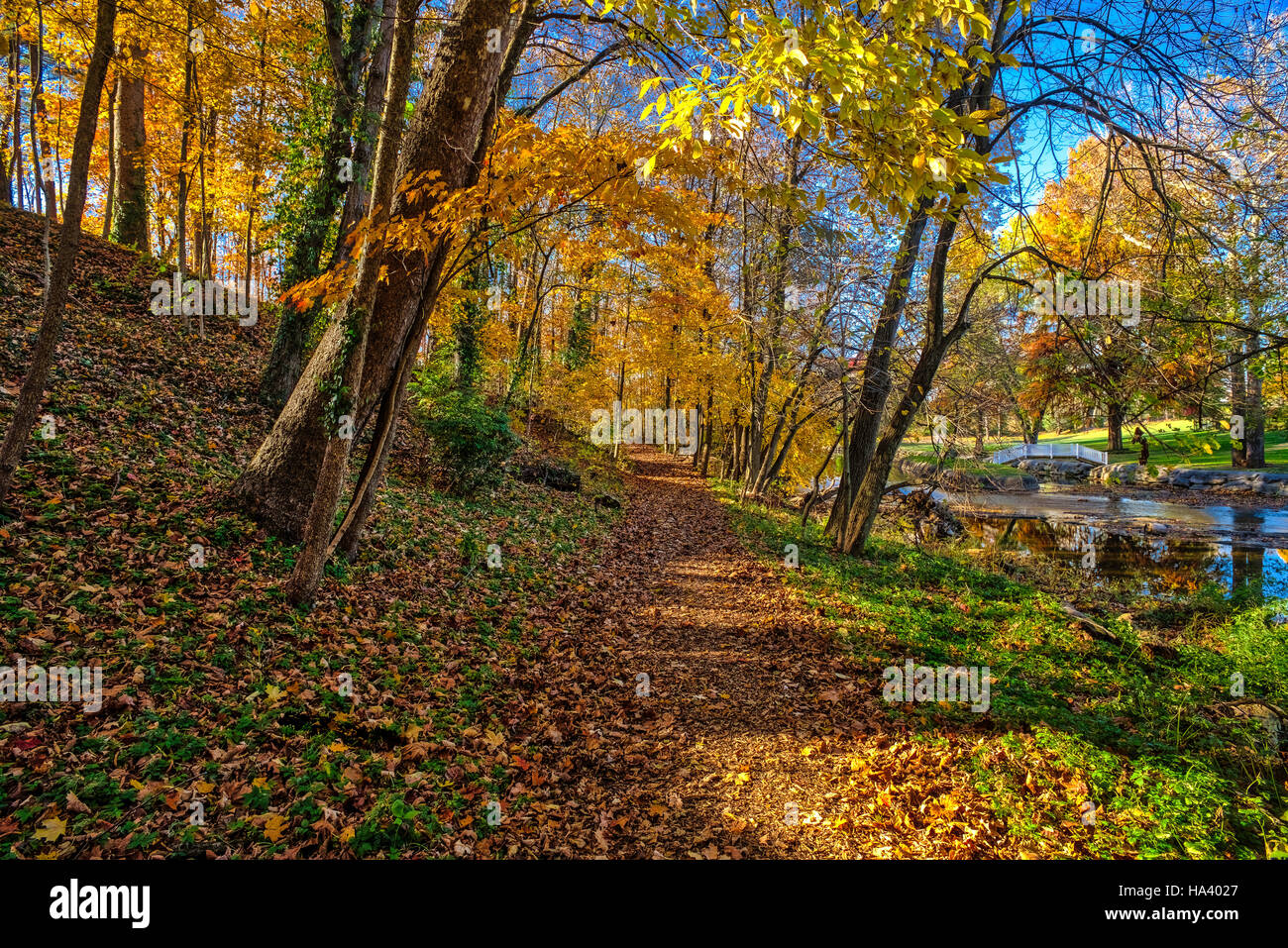 Landscape forest walk Stock Photo - Alamy