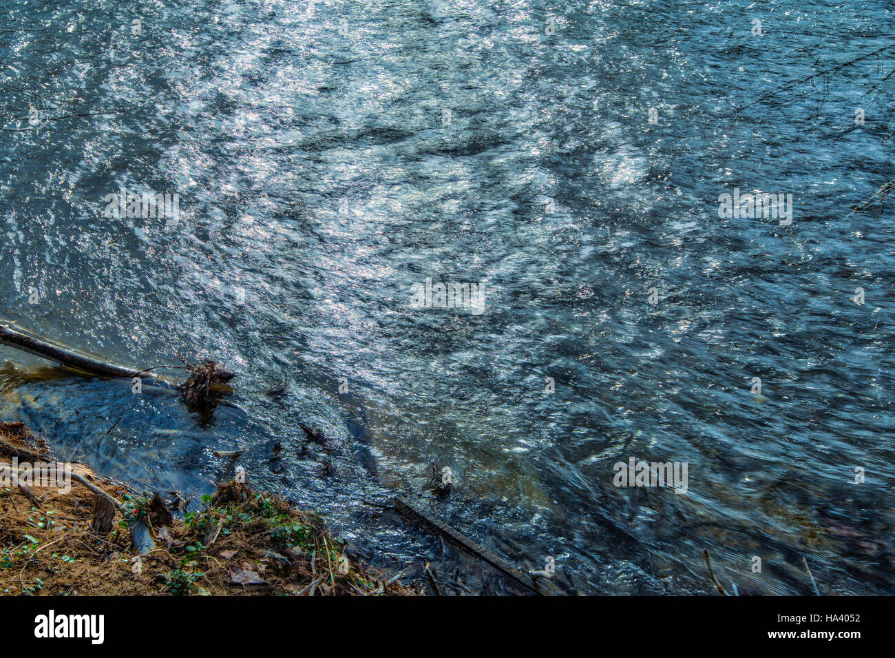 Landscape forest walk Stock Photo - Alamy