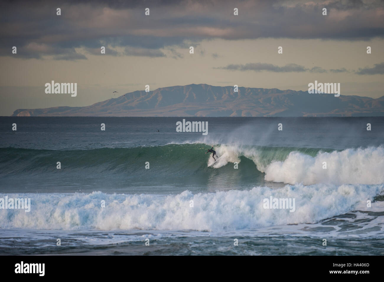Surfer dropping into large wave with Santa Cruz Island in background ...