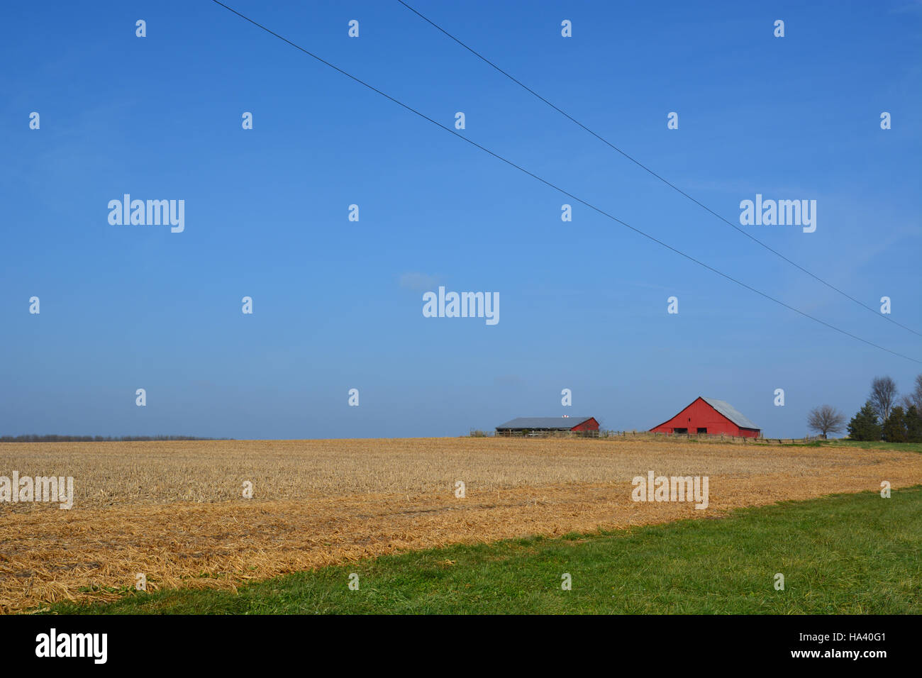 Corn Fields Illinois High Resolution Stock Photography and Images - Alamy