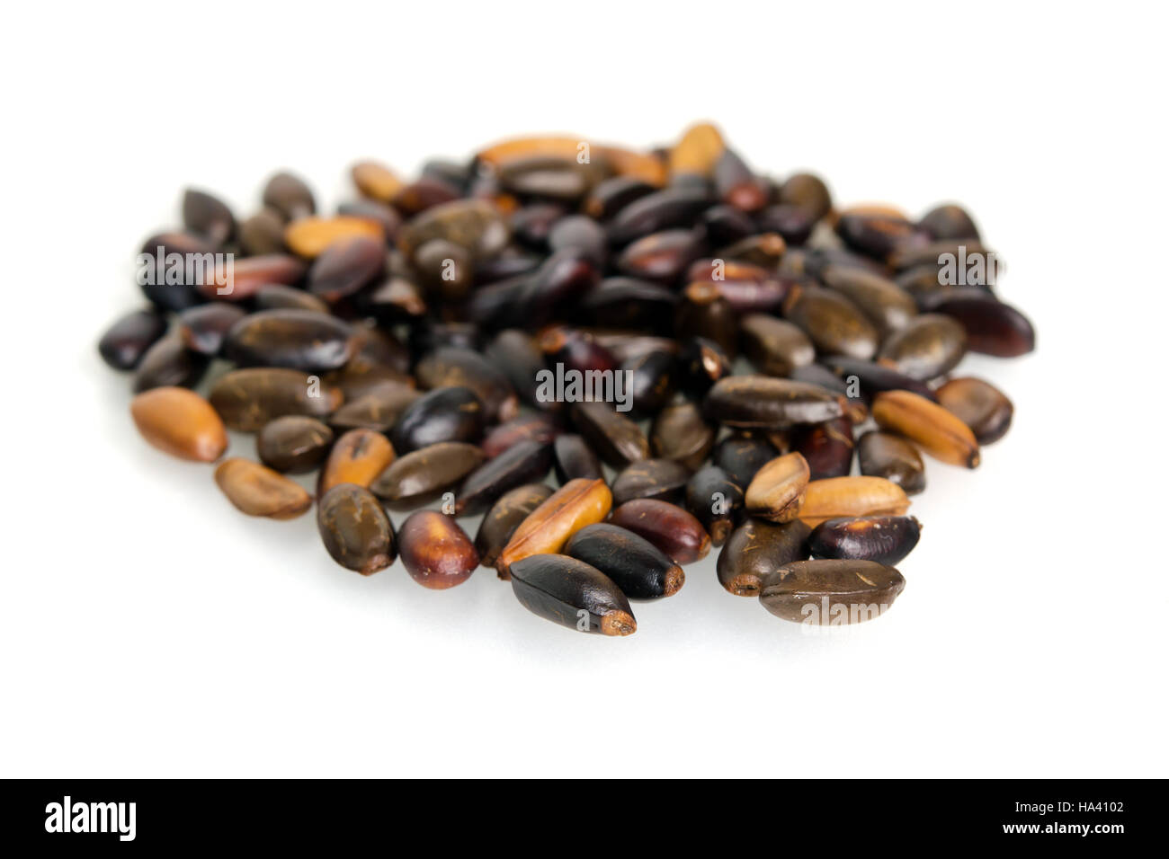Custard apple seed hi-res stock photography and images - Alamy
