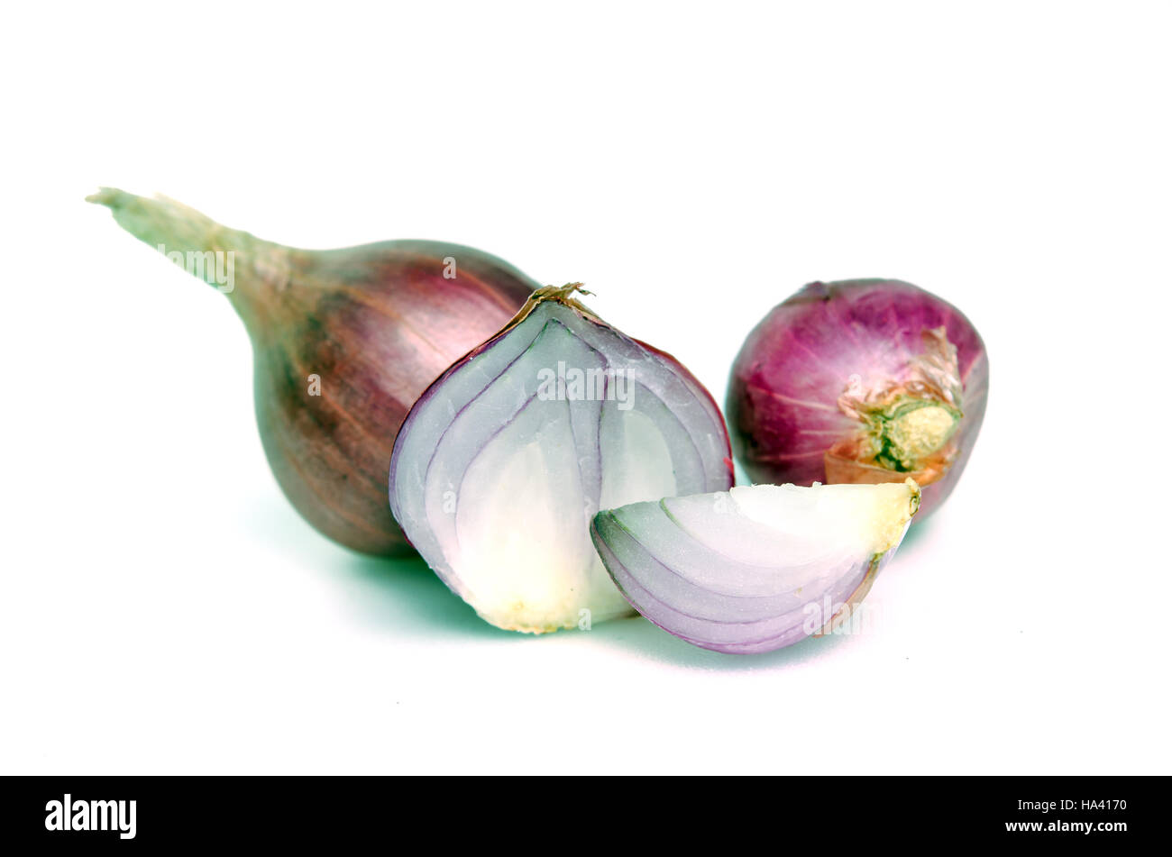 Allium ascalonicum hi-res stock photography and images - Alamy