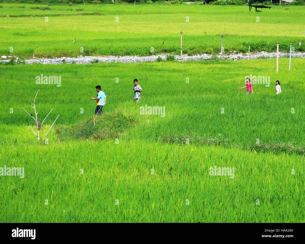 Children dike hi-res stock photography and images - Alamy