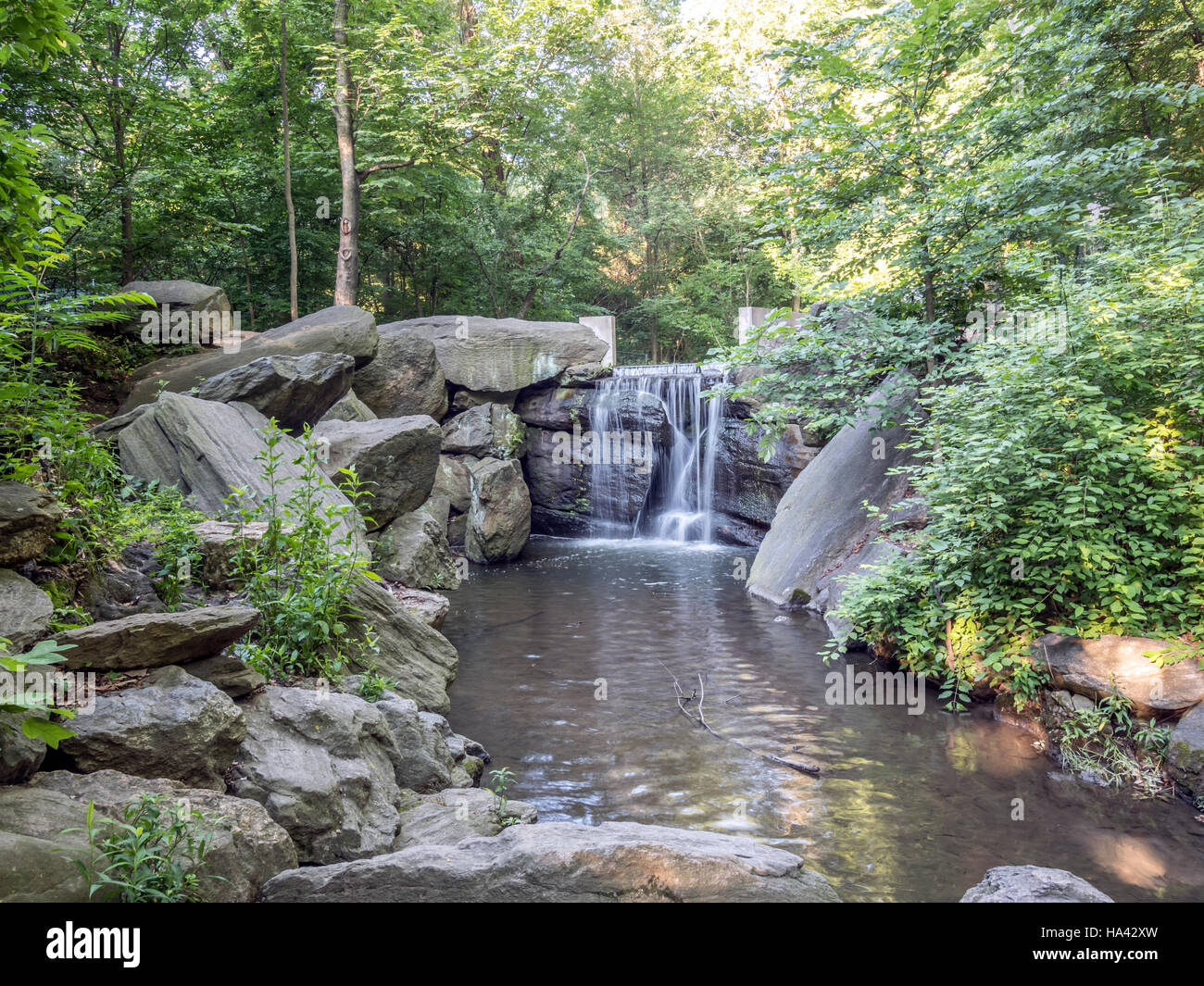 Central Park, New York City waterfall in late summer Stock Photo - Alamy