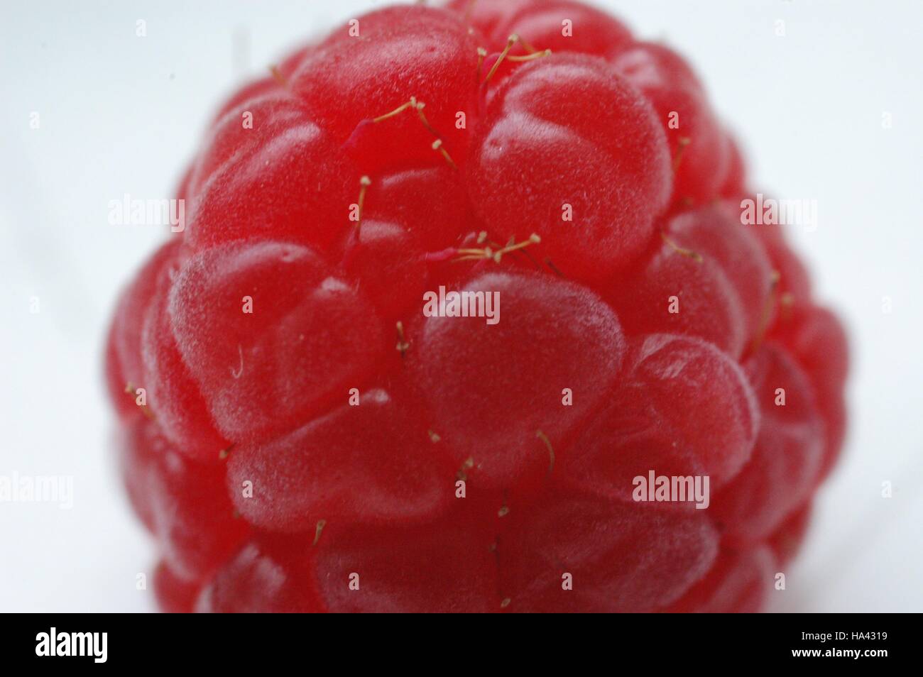 Raspberry close up hairs hi-res stock photography and images - Alamy