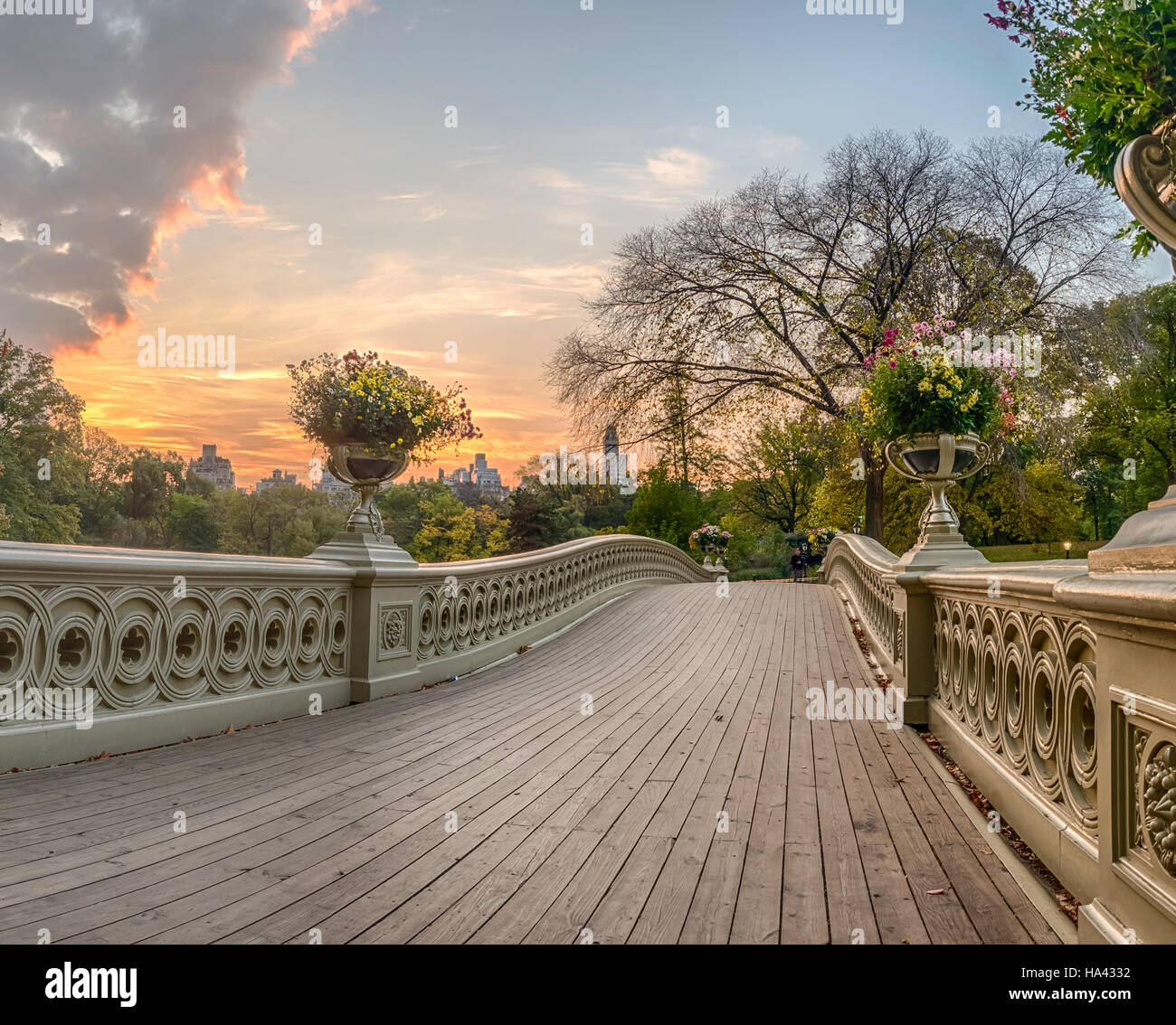 The Bow Bridge is a cast iron bridge located in Central Park, New York ...