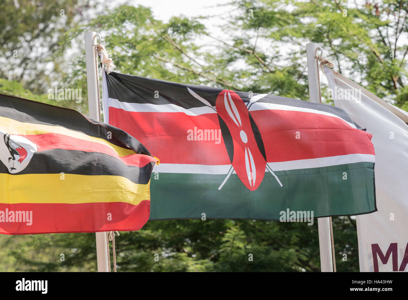 The Kenyan flag flying Stock Photo - Alamy