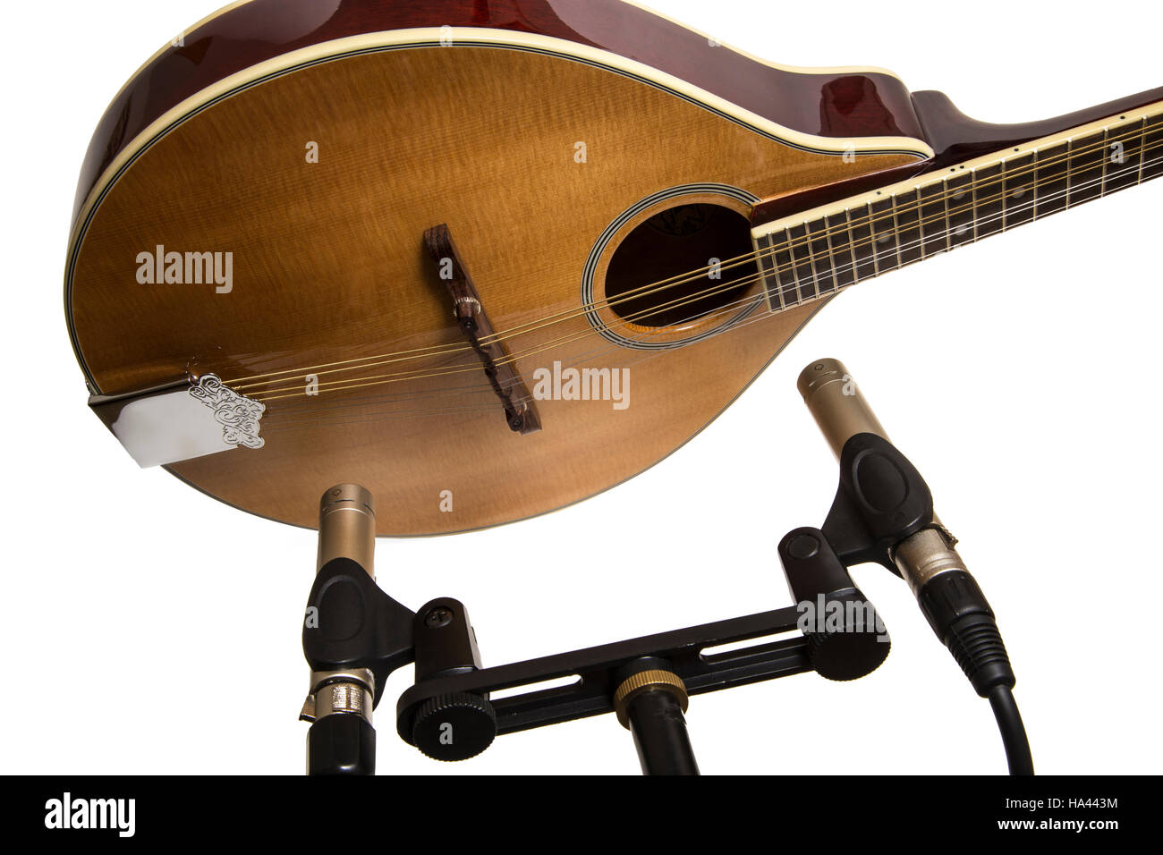 Mandolin hi-res stock photography and images - Alamy