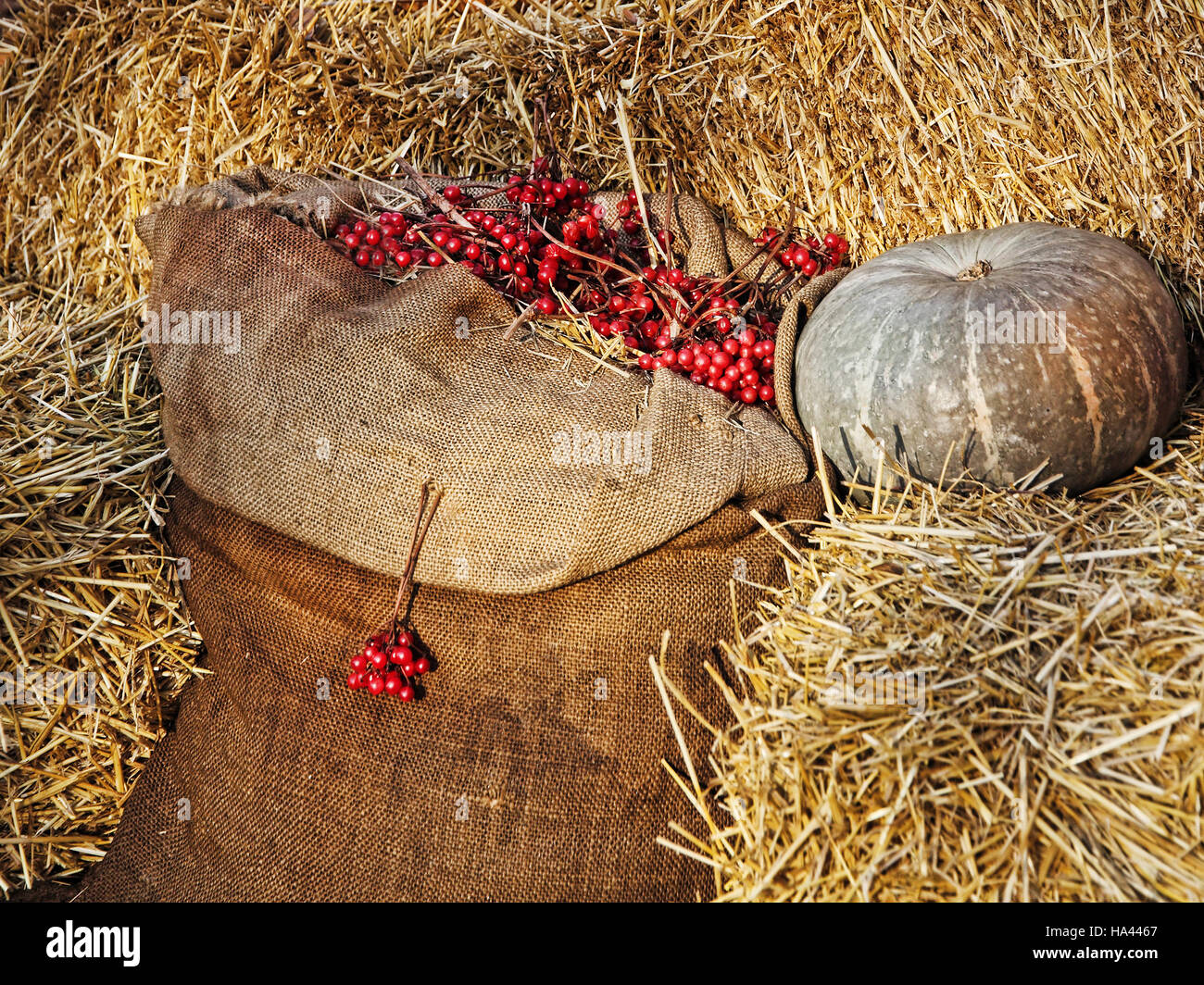 Sack image hi-res stock photography and images - Alamy
