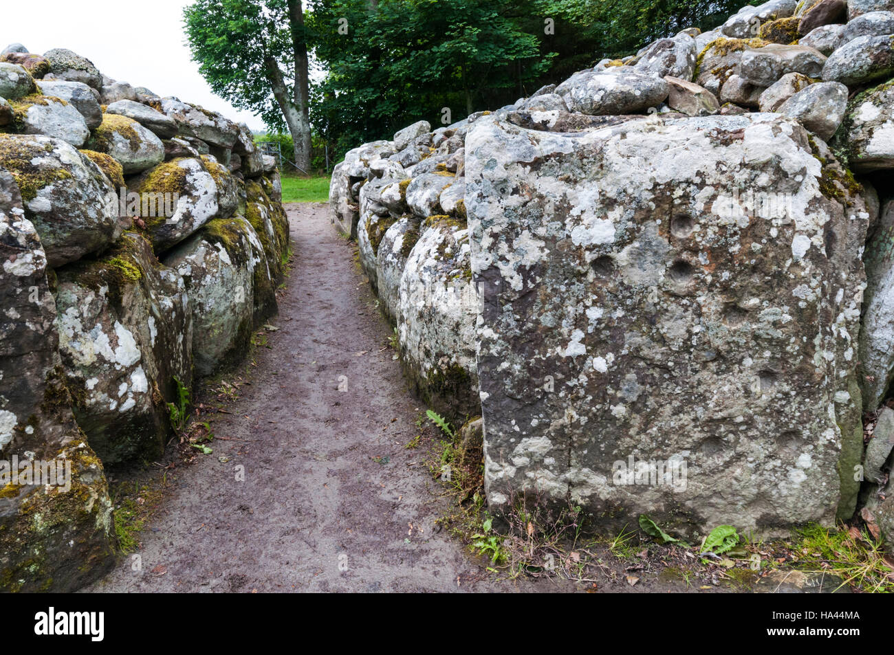 Cup ring marks hi-res stock photography and images - Alamy