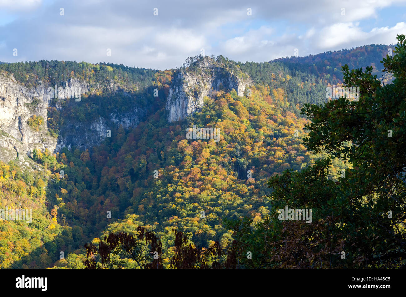 Sunlit hill and colorful forest at Rodopi mountain, Bulgaria Stock ...