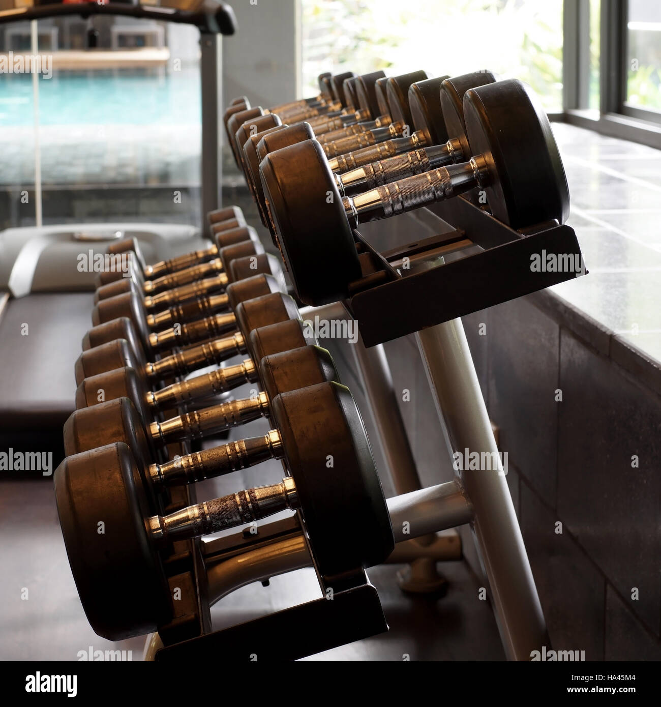 lifting weight, rows of sports dumbbells in the gym Stock Photo - Alamy