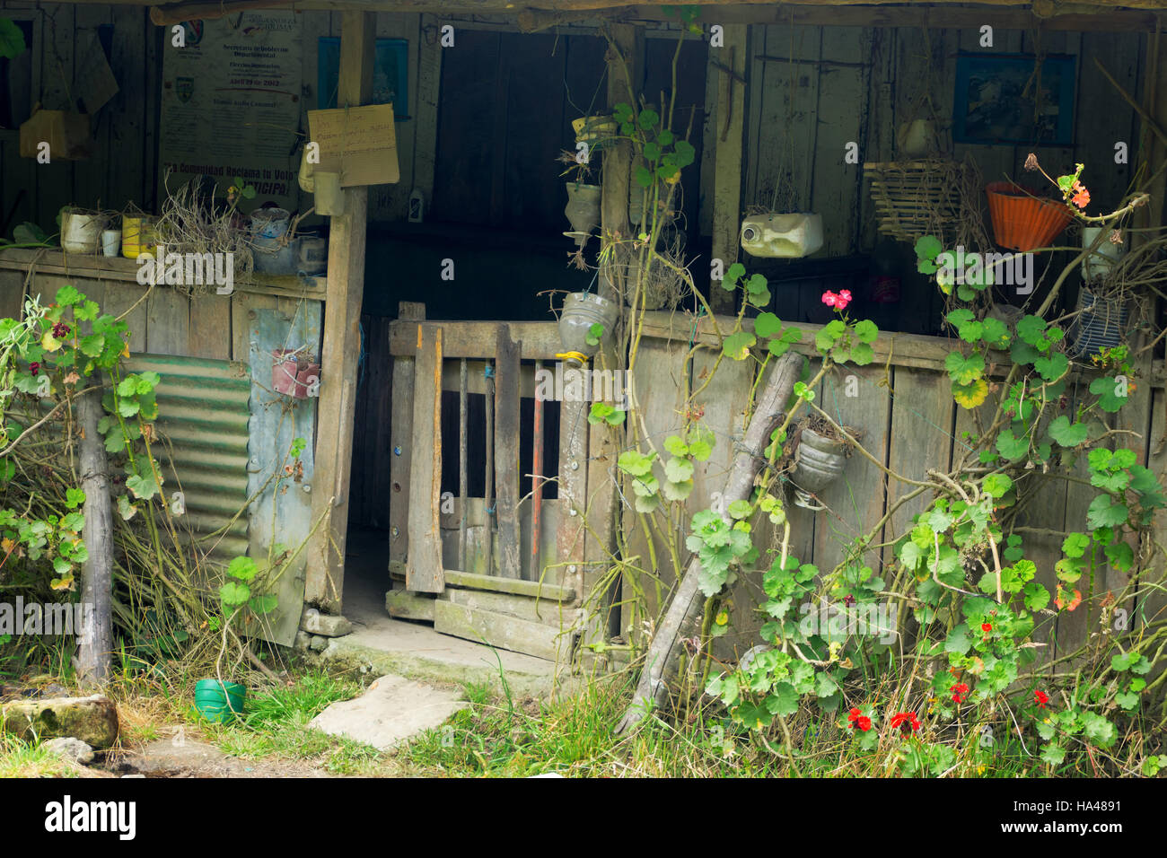 Old overgrown house in the country near Salento, Colombia Stock Photo ...