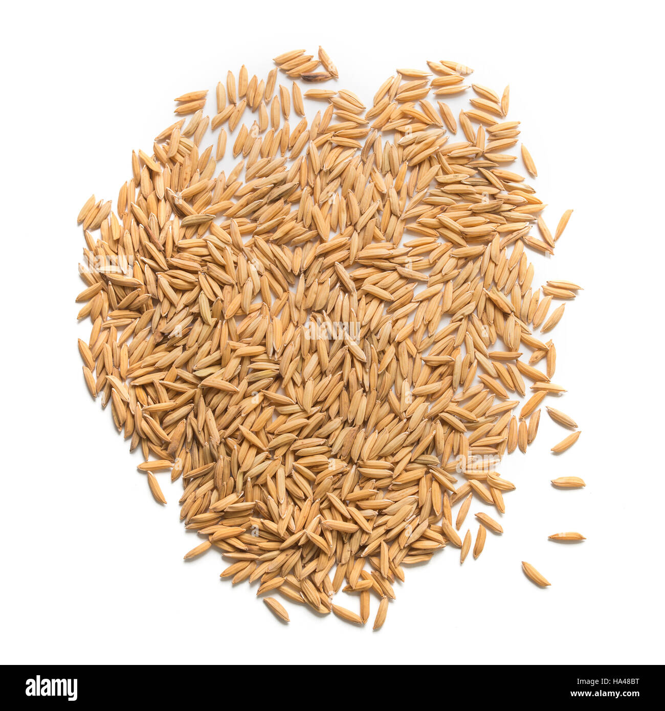 paddy seed on white background Stock Photo - Alamy
