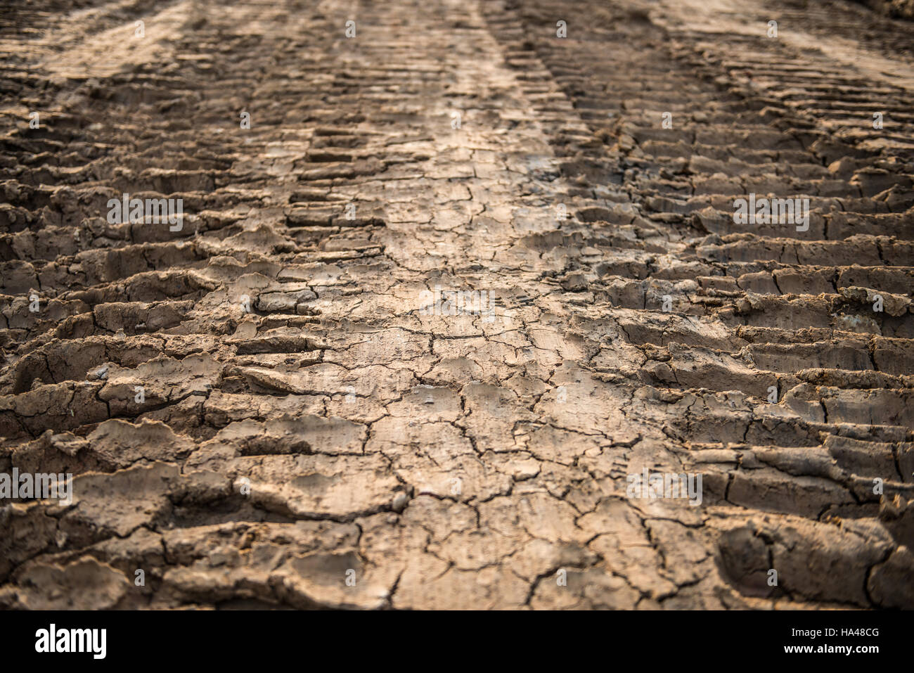 wheel tracks on dirt soil Stock Photo - Alamy