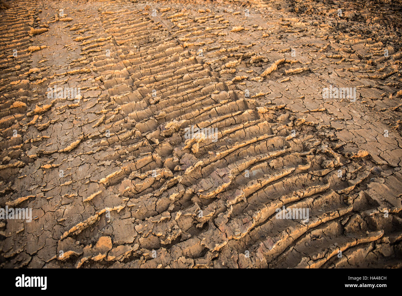 wheel tracks on dirt soil Stock Photo - Alamy
