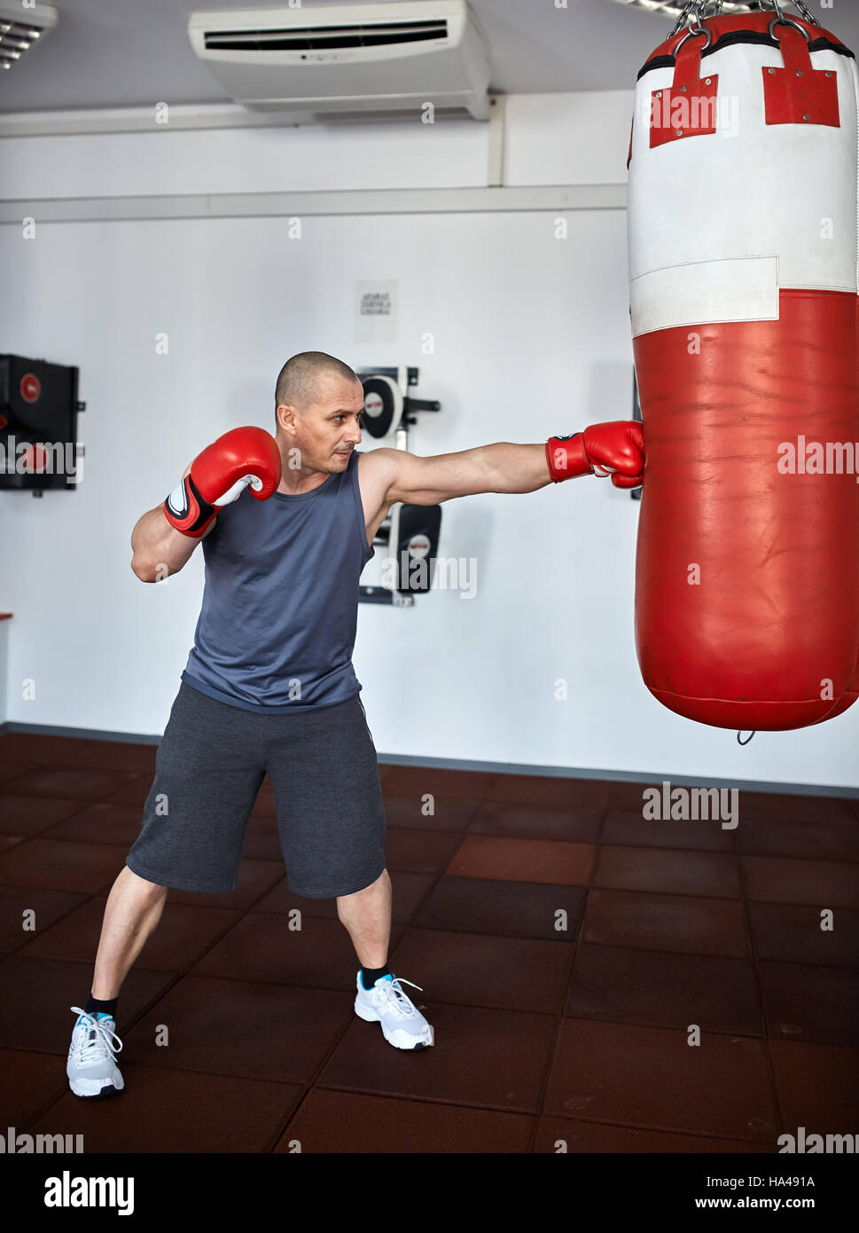 Boxer training with punch bags in a gym Stock Photo - Alamy