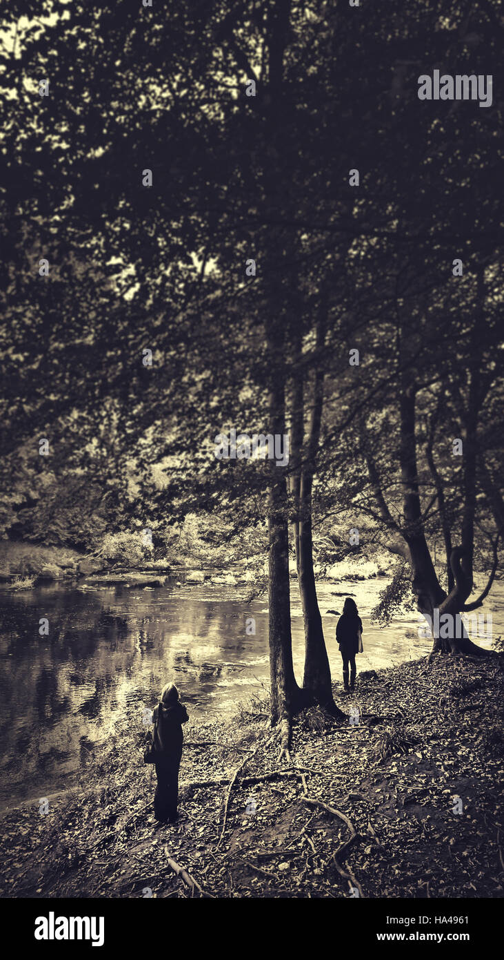 Silhouettes in the woods hi-res stock photography and images - Alamy