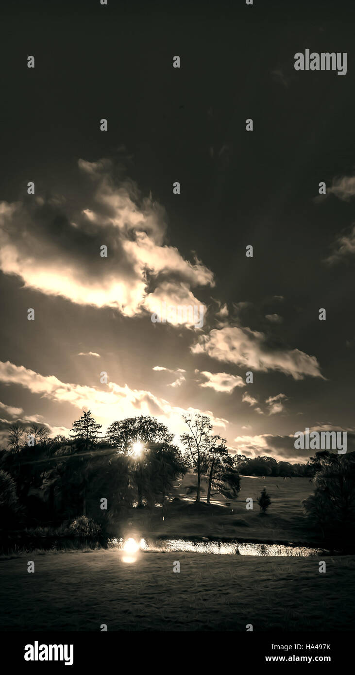 sunset landscape with the trees and lake Stock Photo - Alamy