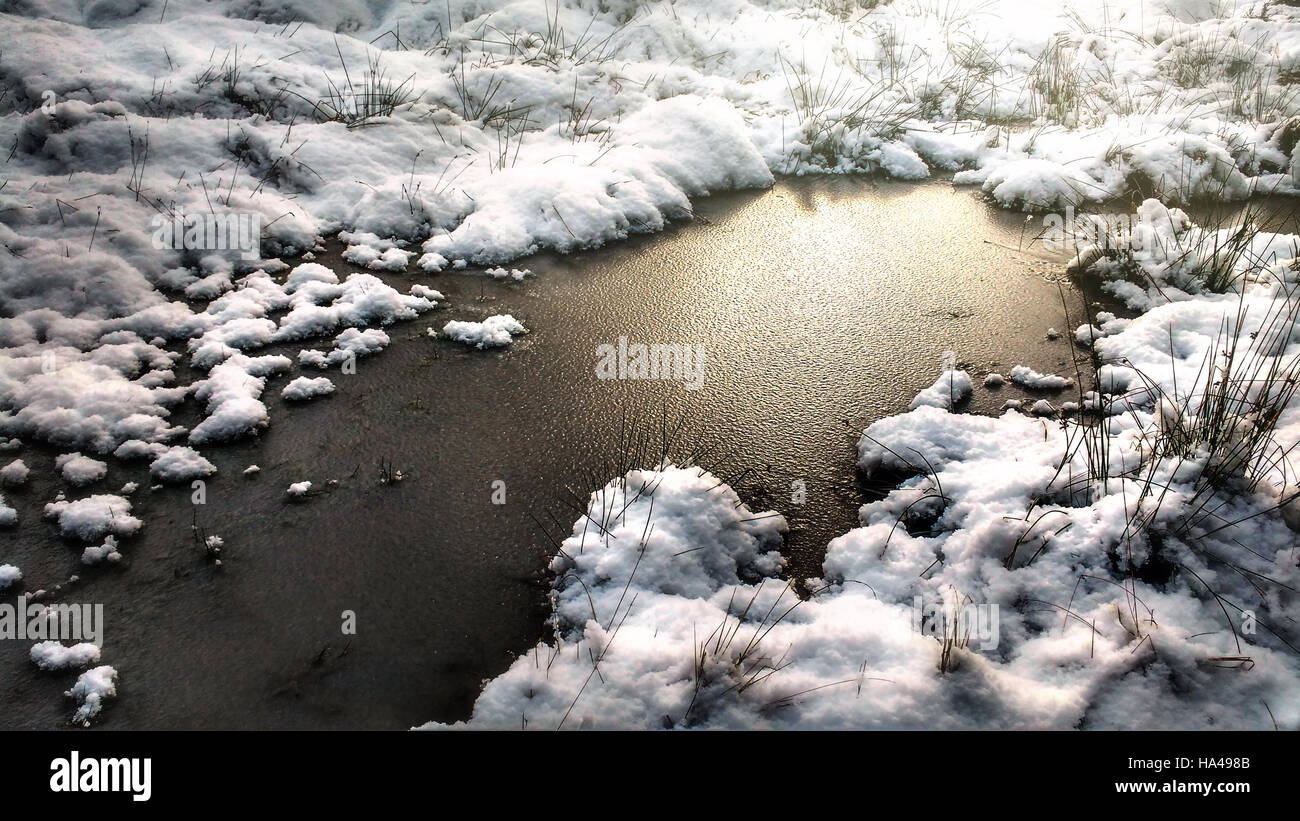 artistic picture of a frozen puddle in the forest Stock Photo - Alamy