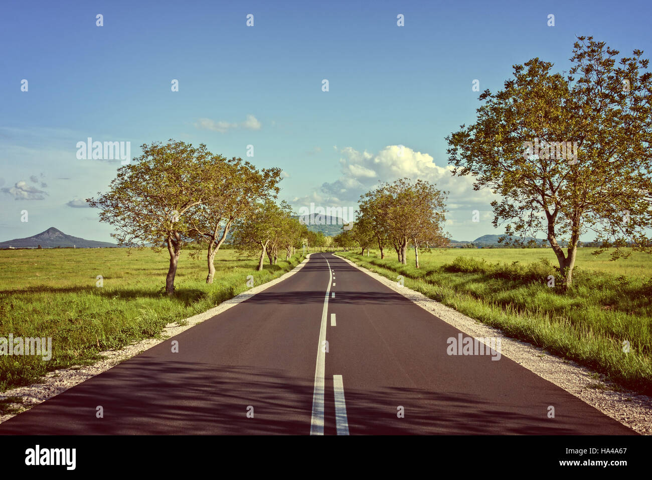 Straight asphalt road leading into the distance Stock Photo - Alamy