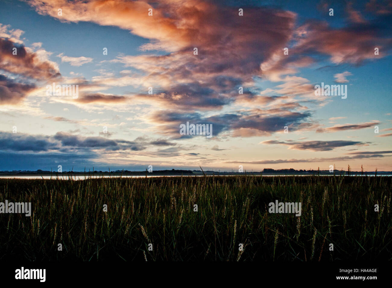 Dawn light on marshes hi-res stock photography and images - Alamy