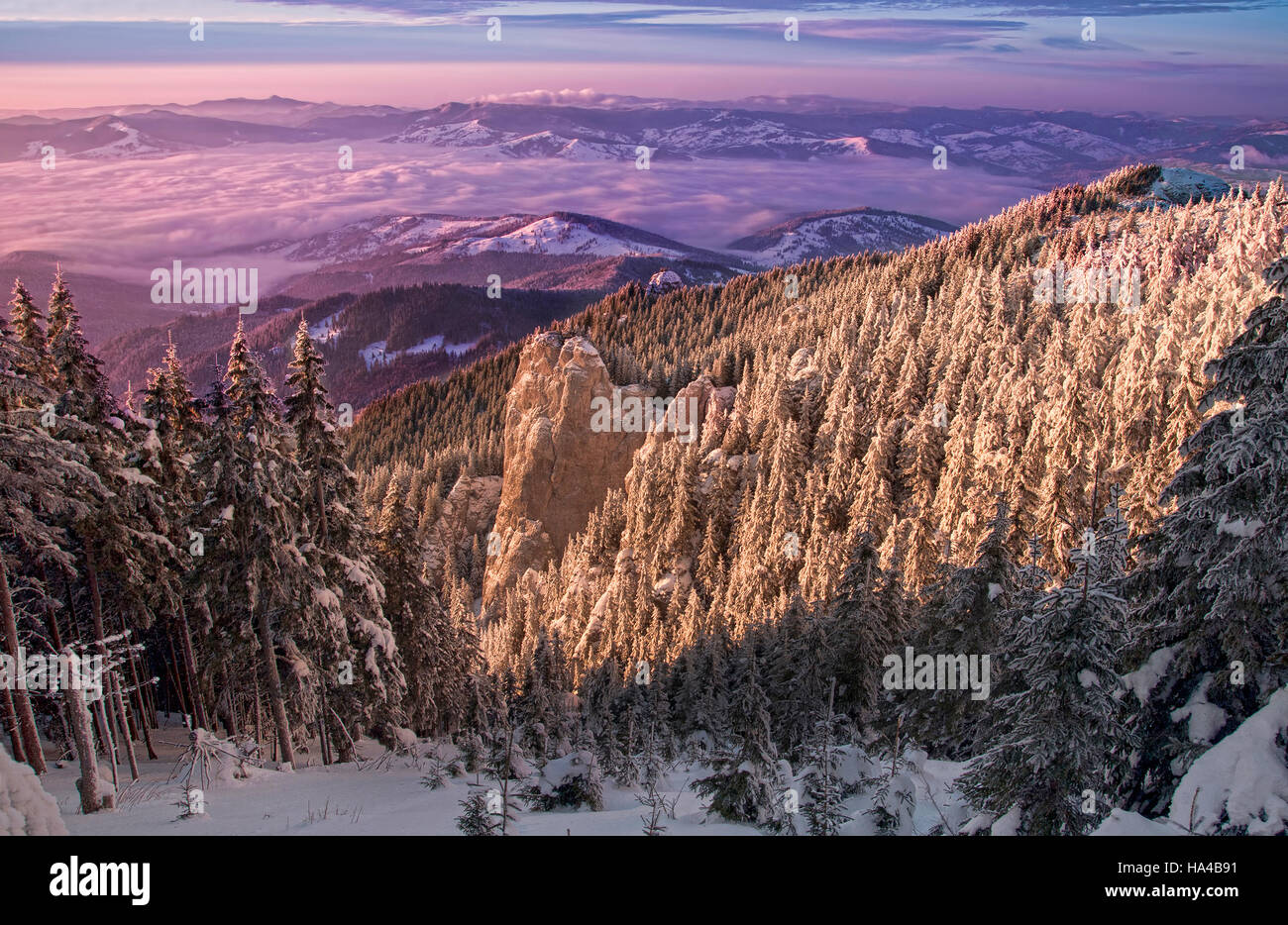 Mystic winter hi-res stock photography and images - Alamy