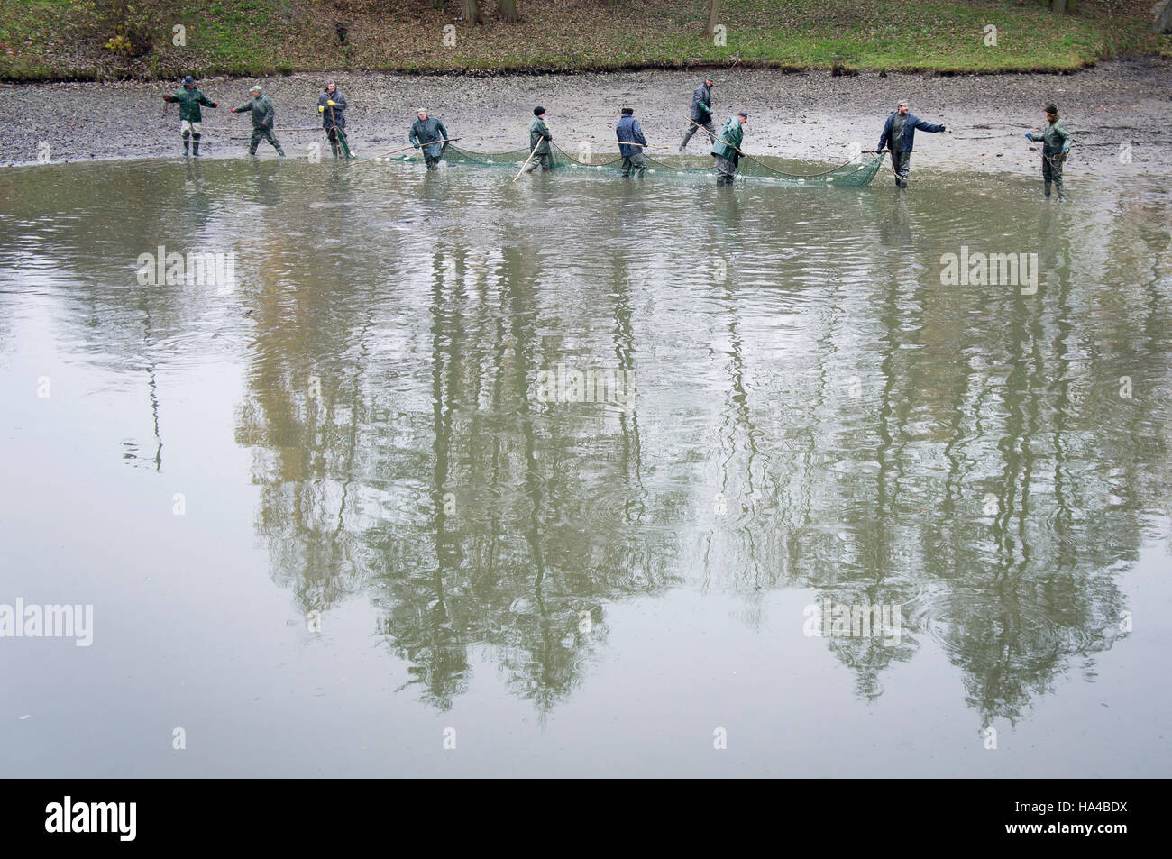 fishermen, fish, pond, fish out, haul, net Stock Photo - Alamy