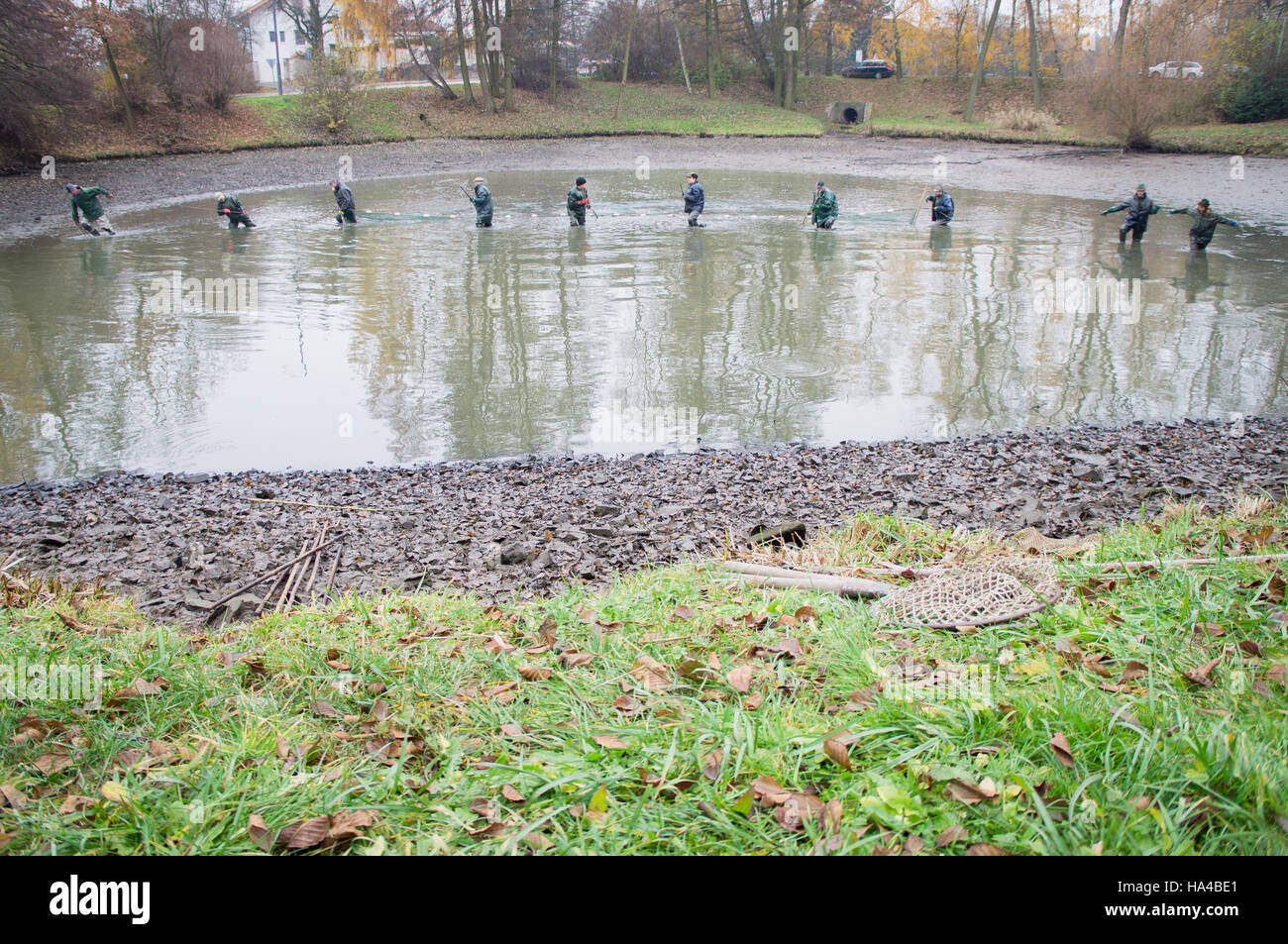fishermen, fish, pond, fish out, haul, net Stock Photo - Alamy
