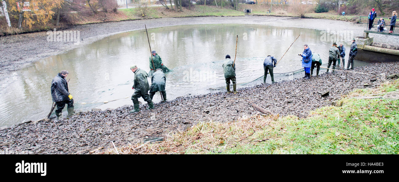 fishermen, fish, pond, fish out, haul, net Stock Photo - Alamy