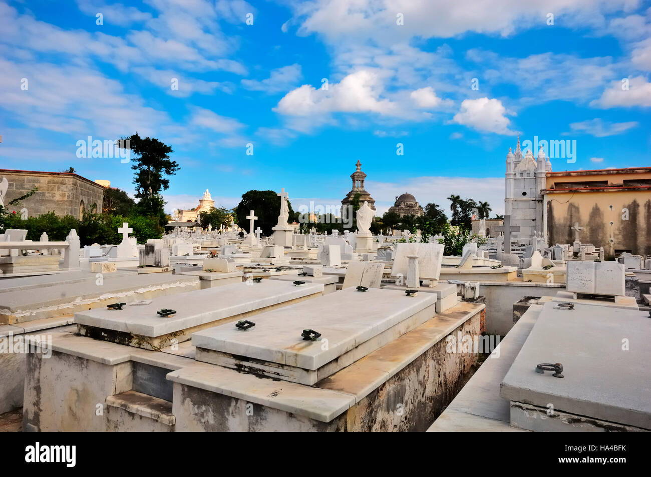 graves and tombstone, Colon cemetery, Havana, Cuba, Caribbean Stock ...