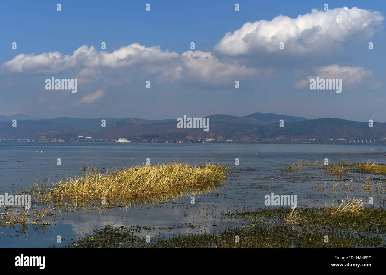 Erhai park hi-res stock photography and images - Alamy