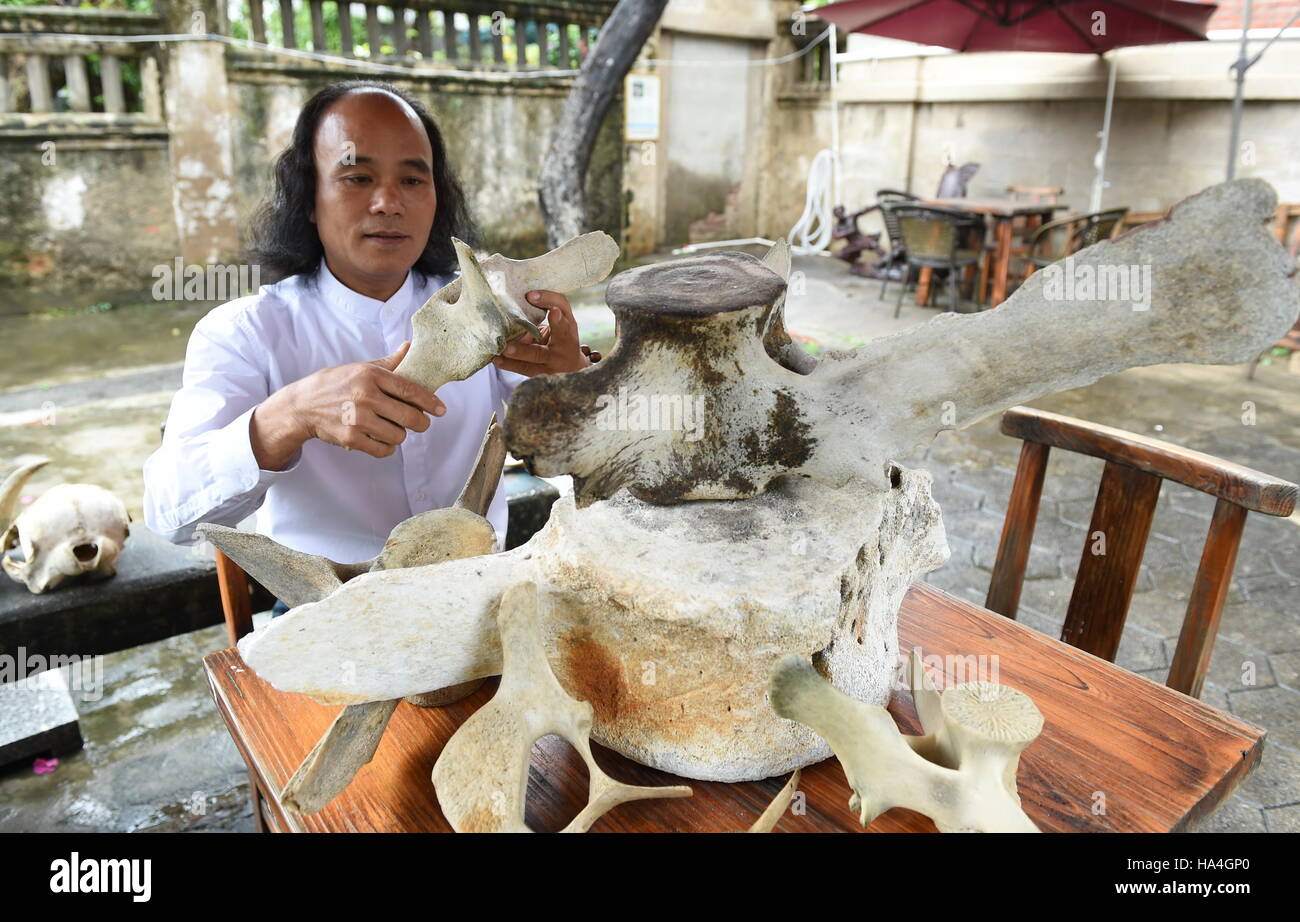 Lin fish hi-res stock photography and images - Alamy