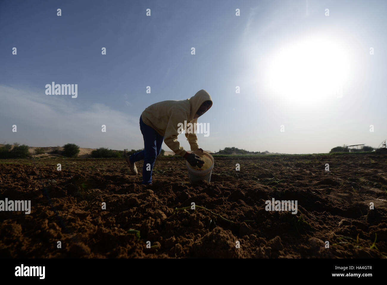 Beit Lahia, Gaza Strip, Palestinian Territory. 27th Nov, 2016. A ...