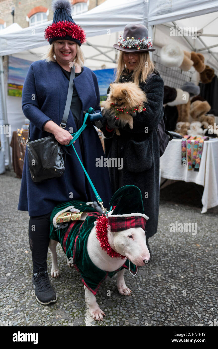 London, UK. 27 November 2016. Cooper, an English Bull Terrier, and ...