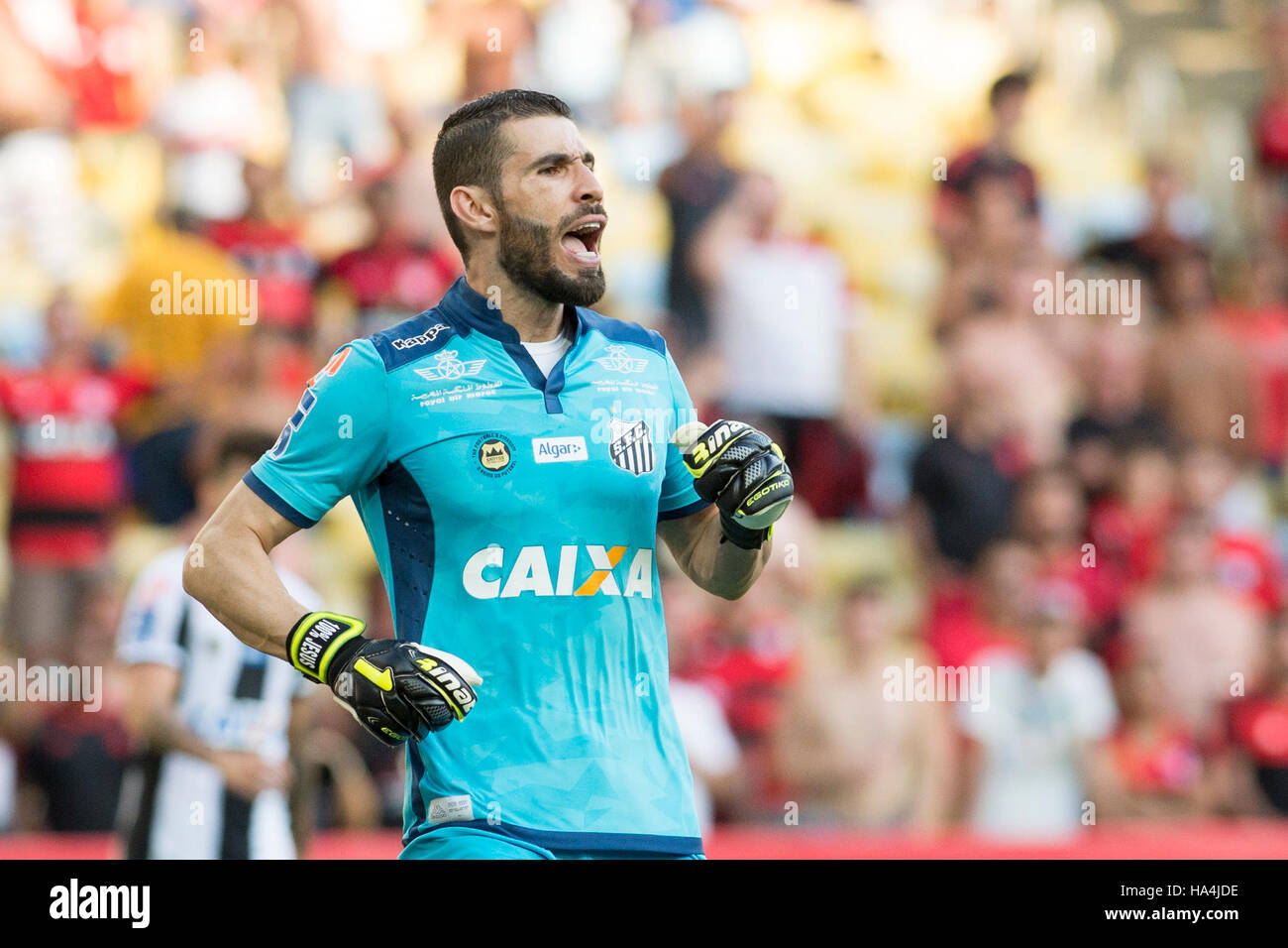 Rio De Janeiro, Brazil. 27th Nov, 2016. Goalkeeper Vanderlei during Flamengo x Santos match ...