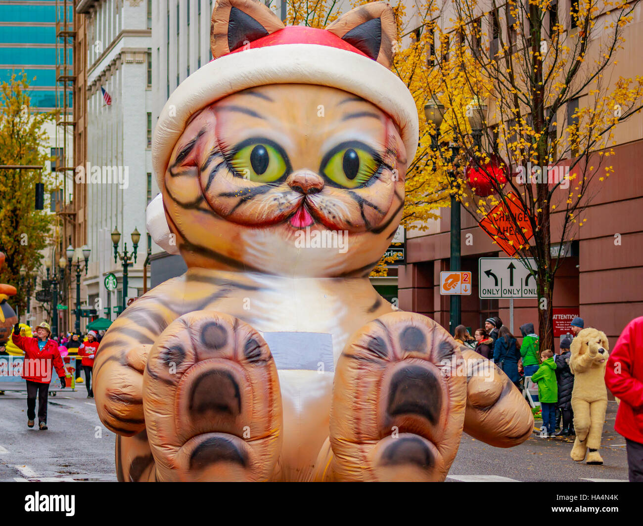 Giant cat hi-res stock photography and images - Alamy