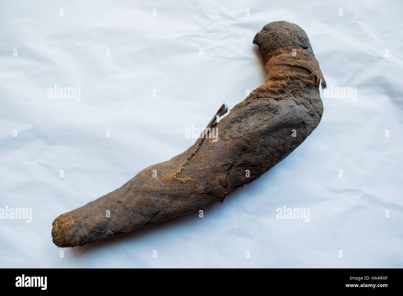 Aachen, Germany. 28th Nov, 2016. An Egyptian bird mummy, photographed ...