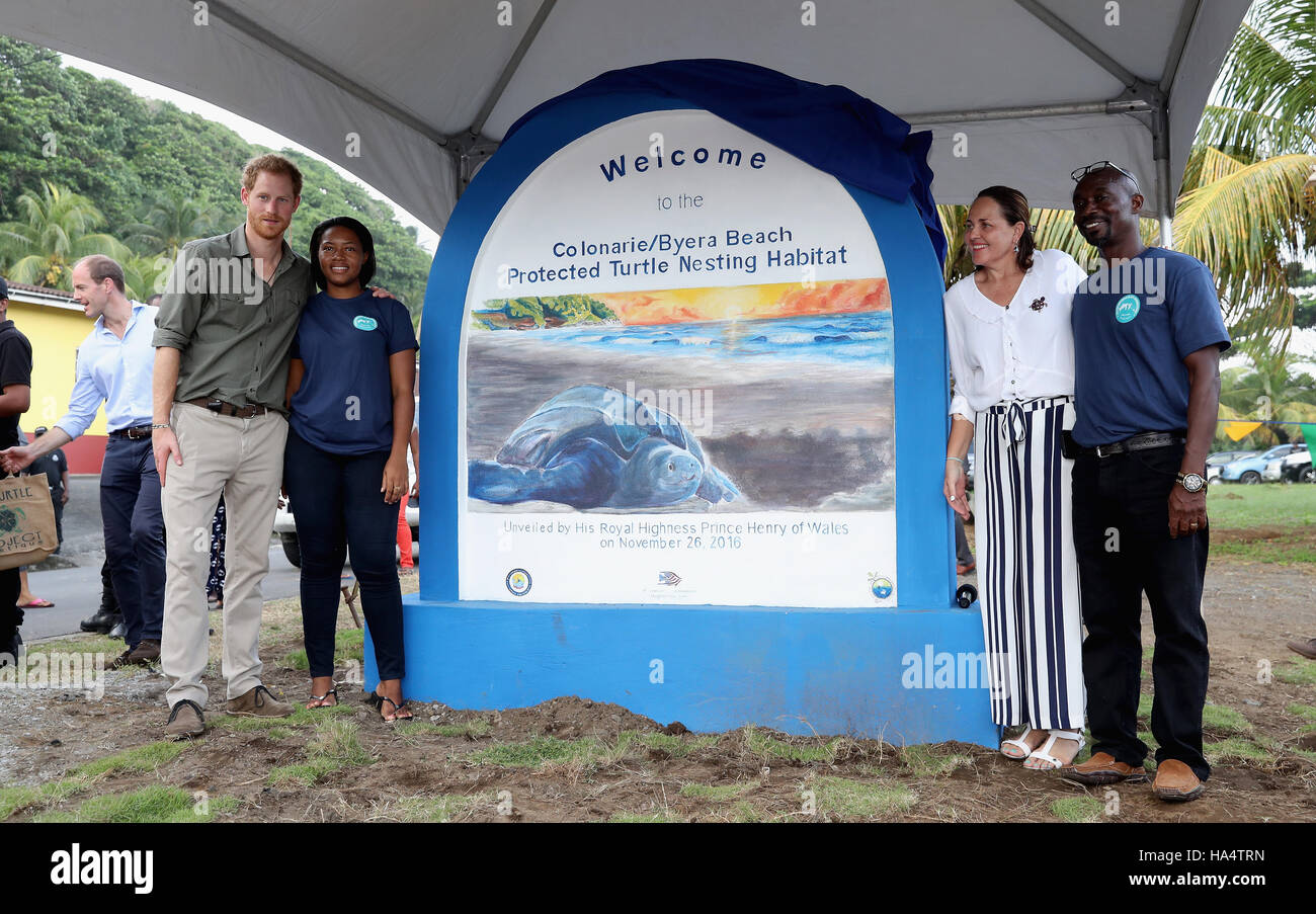 Prince Harry during a visit to a Turtle Conservation Project at ...