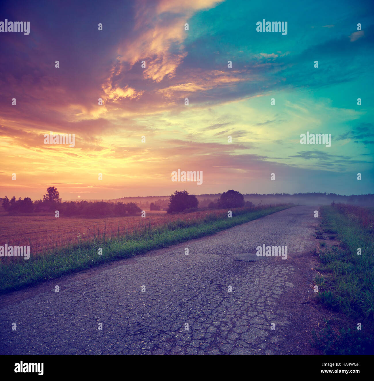 Landscape with Field and Country Road at Sunset Stock Photo - Alamy