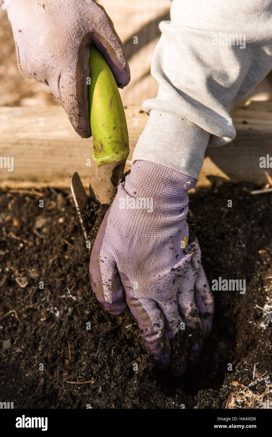 Soil sample hi-res stock photography and images - Alamy