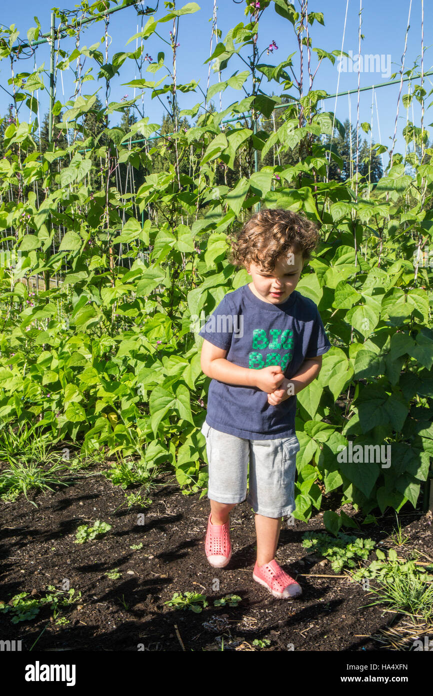 4 5 years child bean hi-res stock photography and images - Alamy