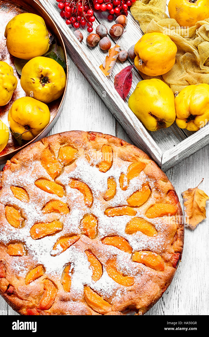 Baked pie with quince in copper kitchen form Stock Photo - Alamy