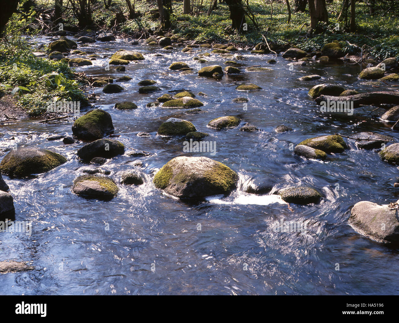 CREEK with rushing spring water 2009 Stock Photo - Alamy